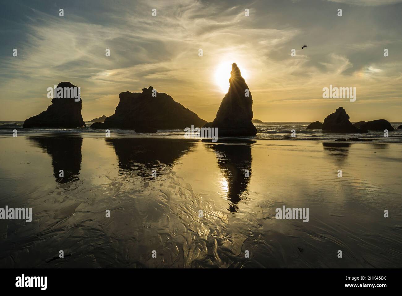 USA, Oregon, Bandon Beach. Wizard's Hat and other formations at sunset ...