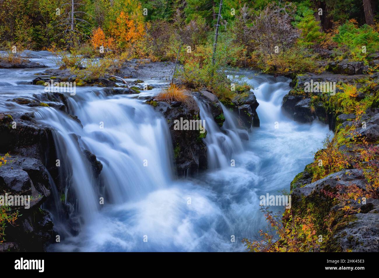 USA, Oregon, Rogue-Umpqua Scenic Byway. Upper Rogue River cascades into ...