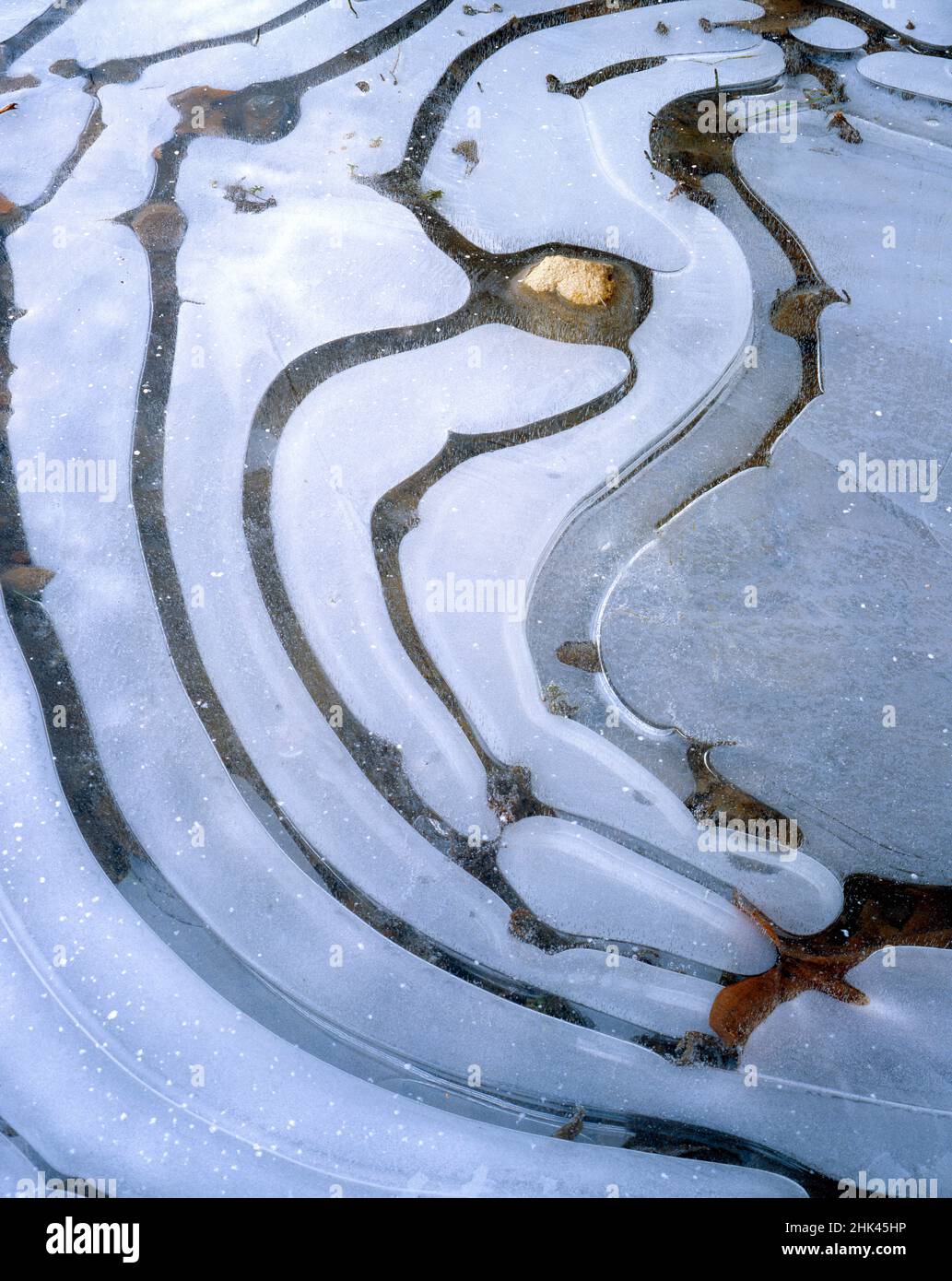 USA, Oregon. Frozen puddle shapes Stock Photo - Alamy