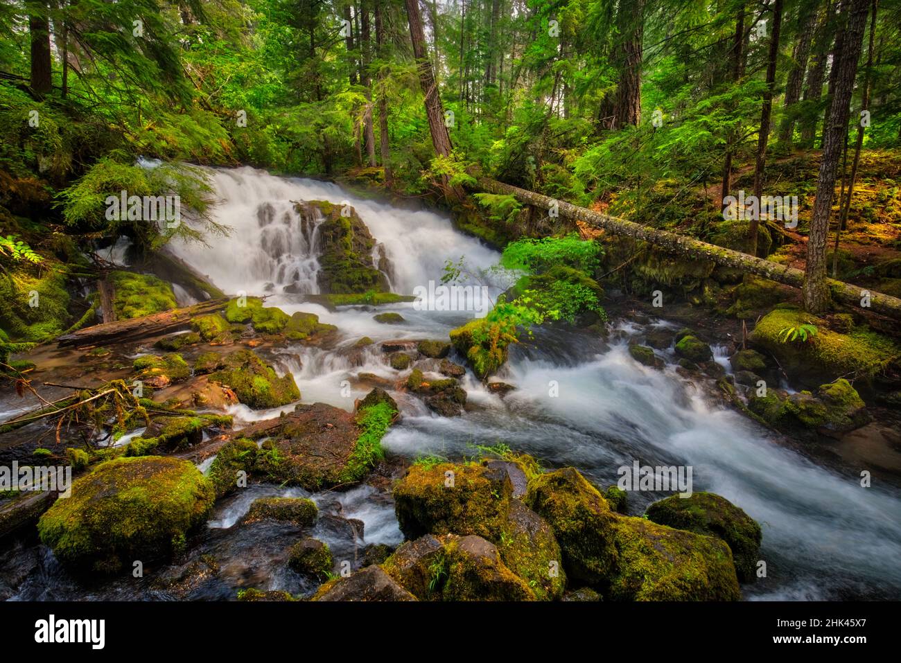 Pearsony falls hi-res stock photography and images - Alamy