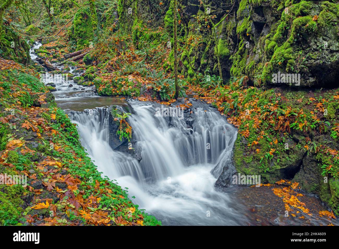 USA, Oregon. Columbia River Gorge National Scenic Area, Emerald Falls ...