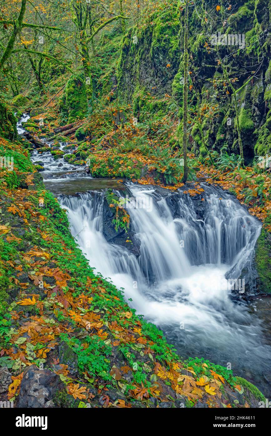 USA, Oregon. Columbia River Gorge National Scenic Area, Emerald Falls ...