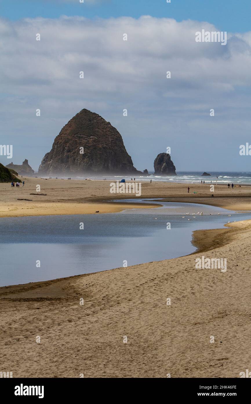 USA, Oregon, Cannon Beach. Seaside beach tide pool Stock Photo - Alamy