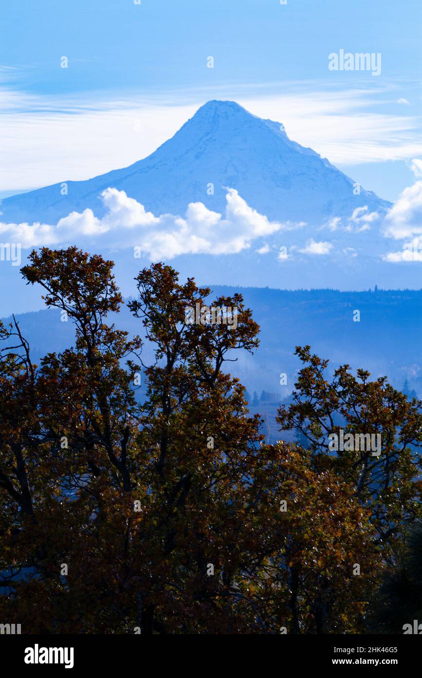 USA, Oregon. Mount Hood autumn landscape scenery Stock Photo - Alamy