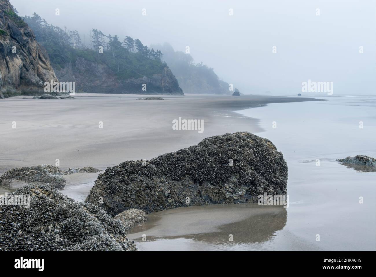 USA, Oregon. Hug Point State Park, foggy beach Stock Photo - Alamy