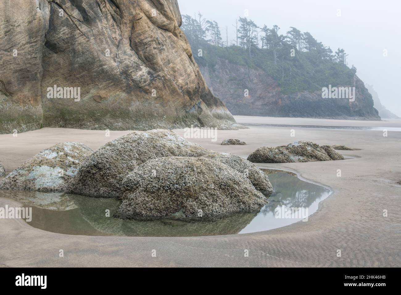USA, Oregon. Hug Point State Park, foggy beach Stock Photo - Alamy