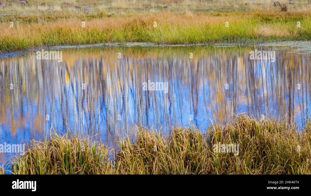 Dixie national forest chriss lake hi-res stock photography and images ...