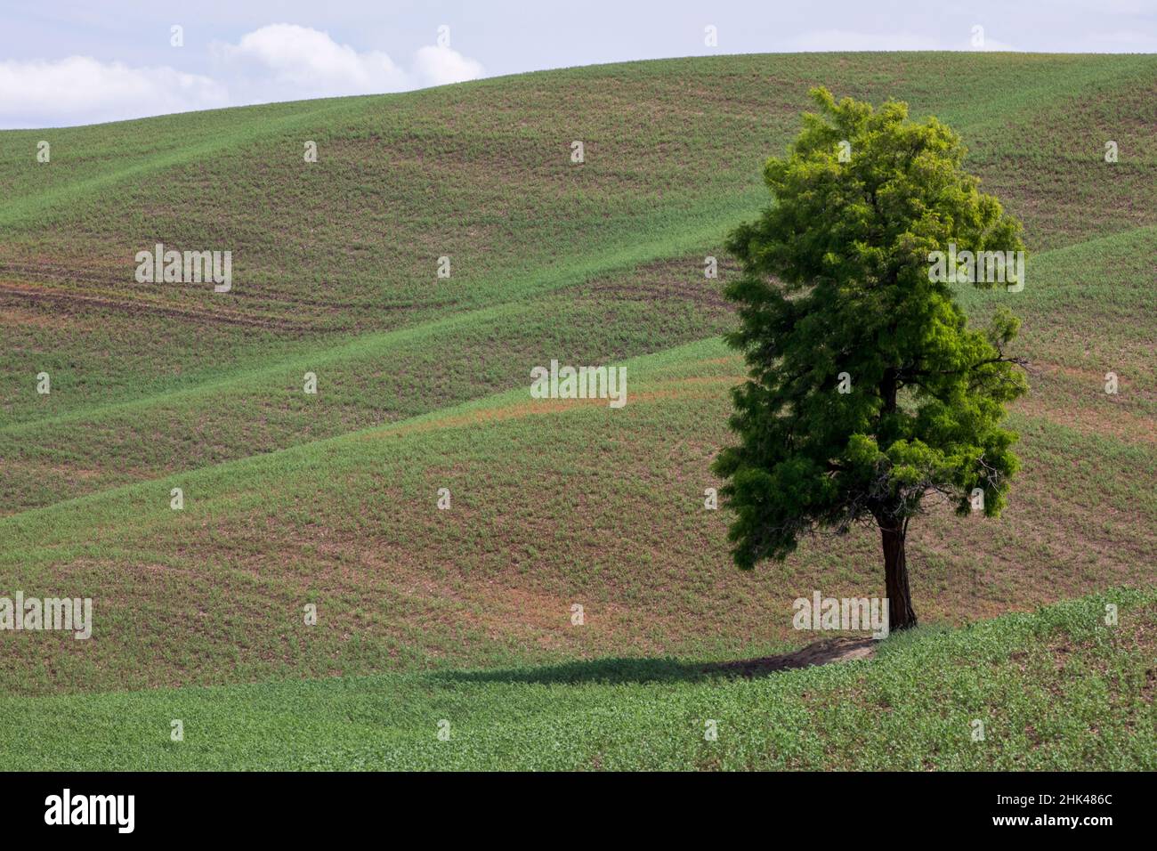 Colton brown hi-res stock photography and images - Alamy