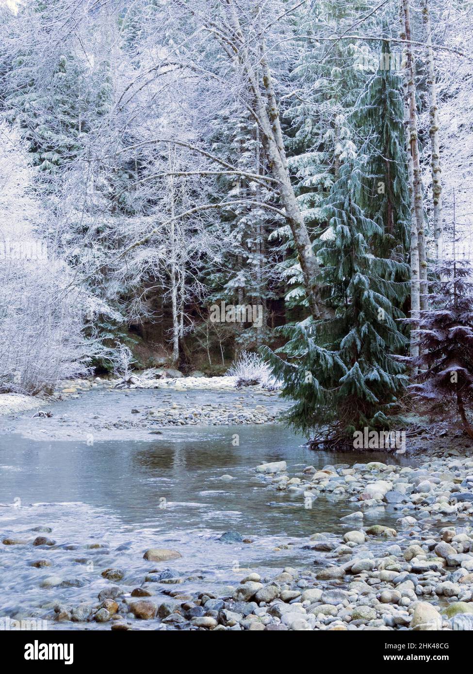 USA, Washington State. Central Cascades, Taylor River and frost covered ...