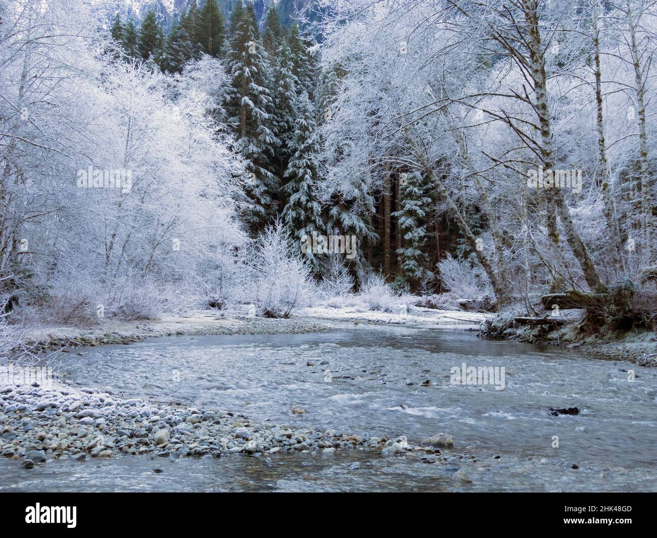 USA, Washington State. Central Cascades, Taylor River and frost covered ...