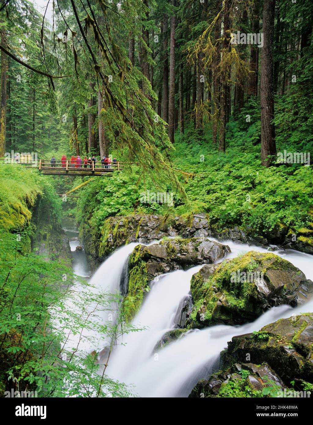 Washington State, Olympic National Park, Sol Duc Falls and bridge over ...