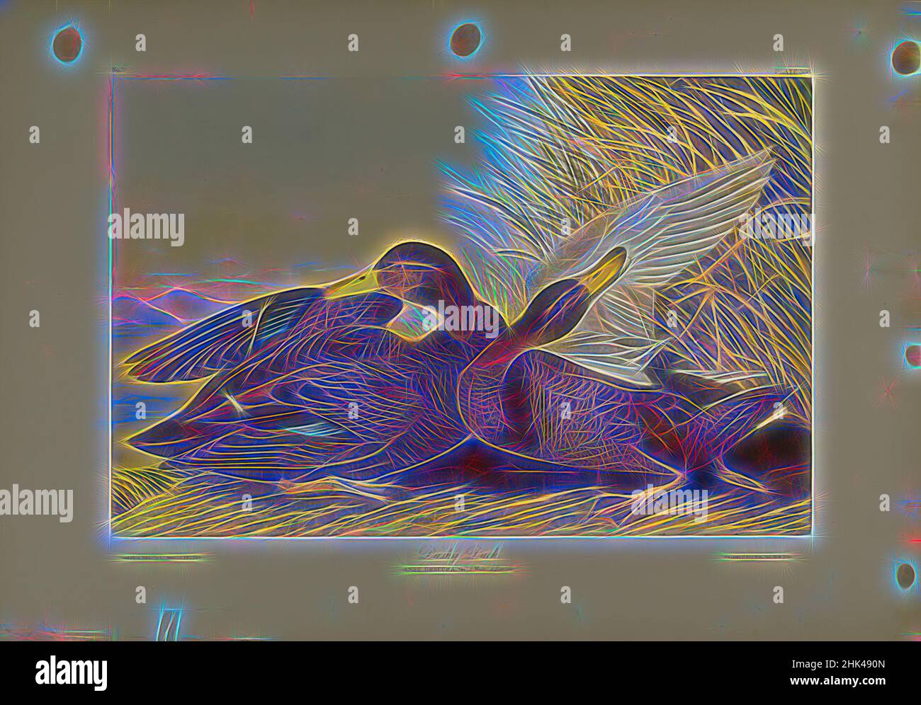 Inspired by Dusky Duck, John James Audubon, American, born Haiti, 1785 ...