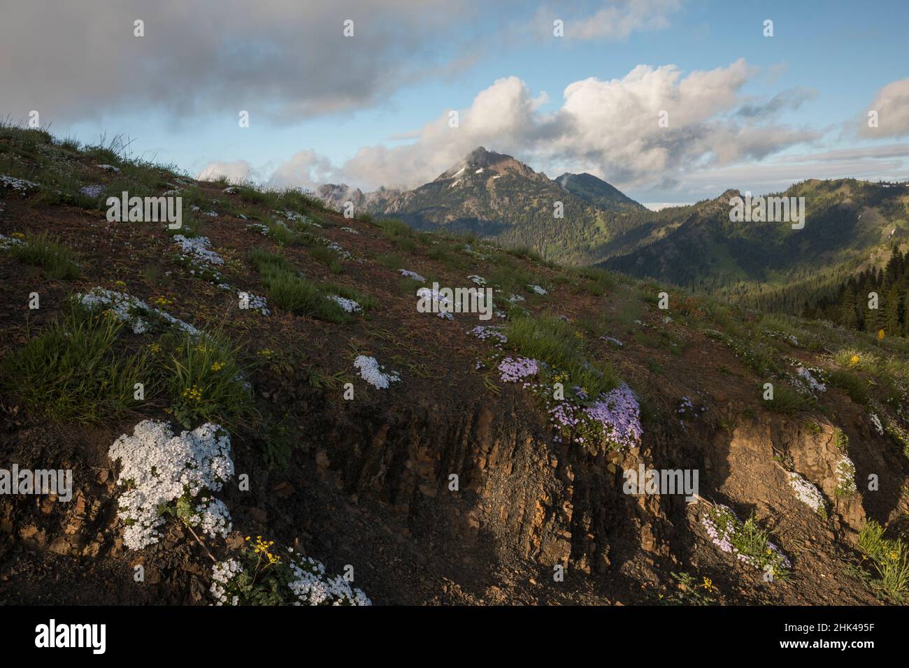 Mount angeles hi-res stock photography and images - Alamy