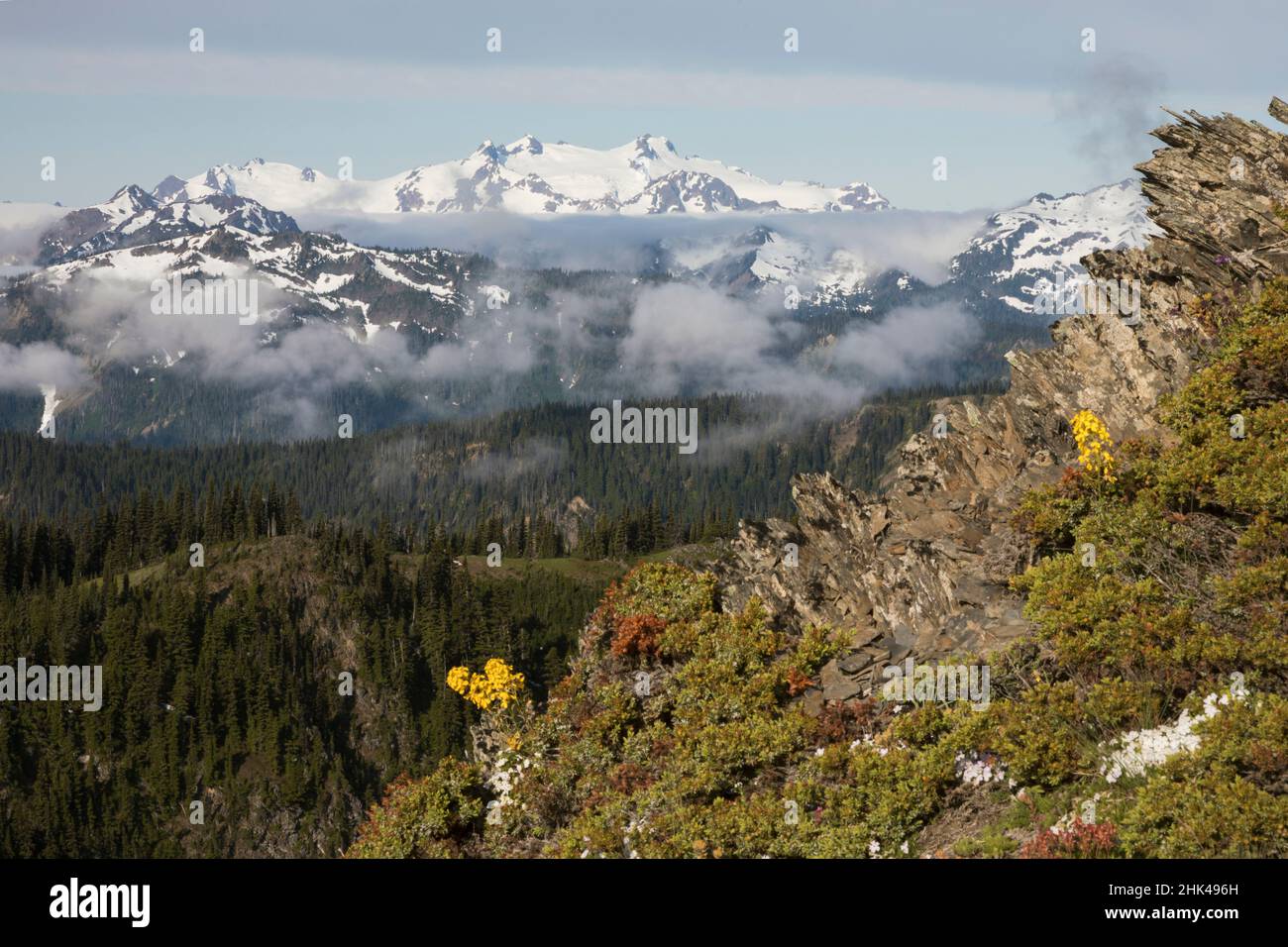 Mount Olympus, Olympic National Park Stock Photo - Alamy