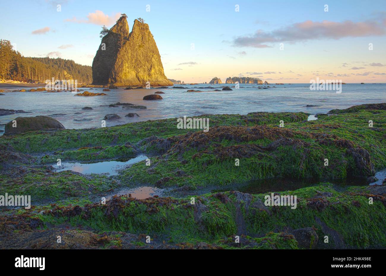 Clallam county hi-res stock photography and images - Alamy