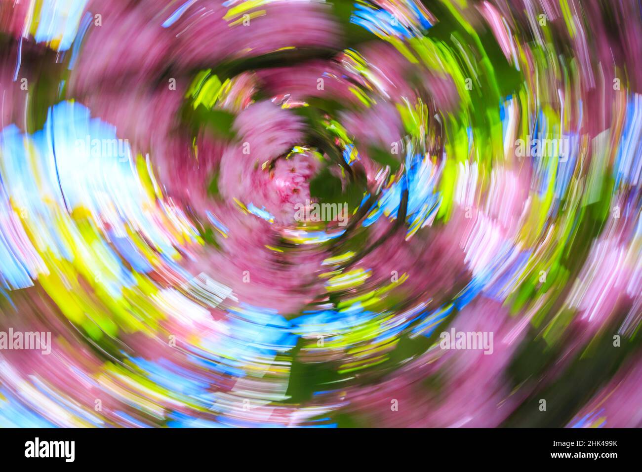Graphic views combining slow shutter speed & motion, Ornamental Spring ...