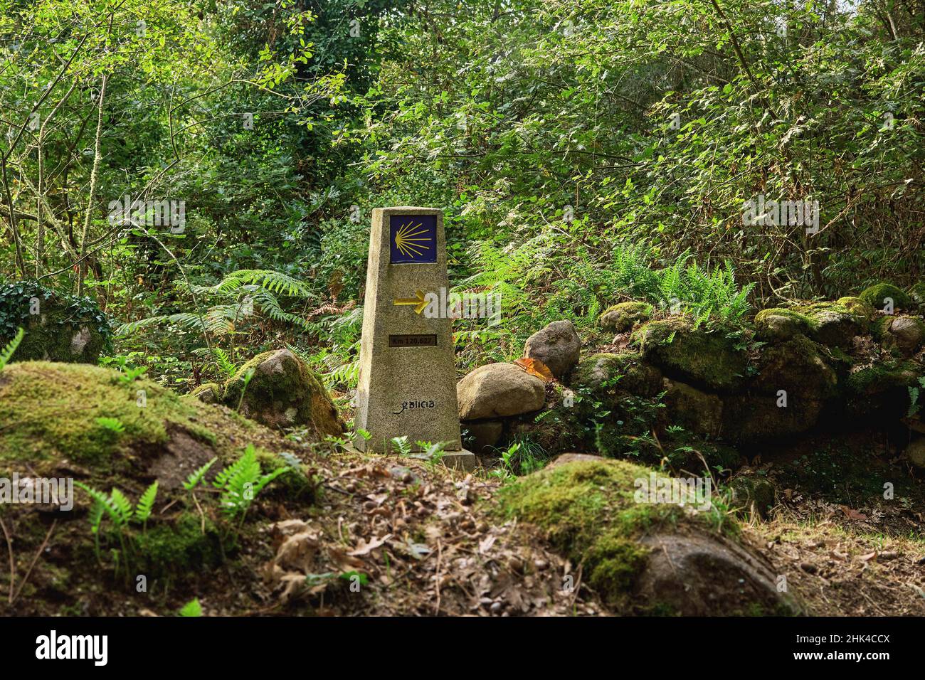 Directional cement marker in Camino de Santiago, Galicia, Spain Stock ...