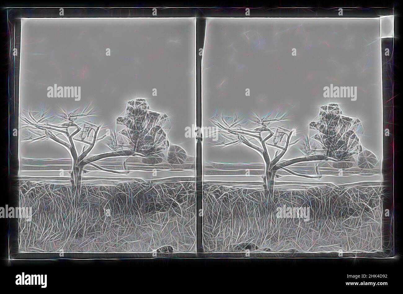 Inspired by Ryder's Pond, Strome Kill, Old Cedar, West Side of Pond ...