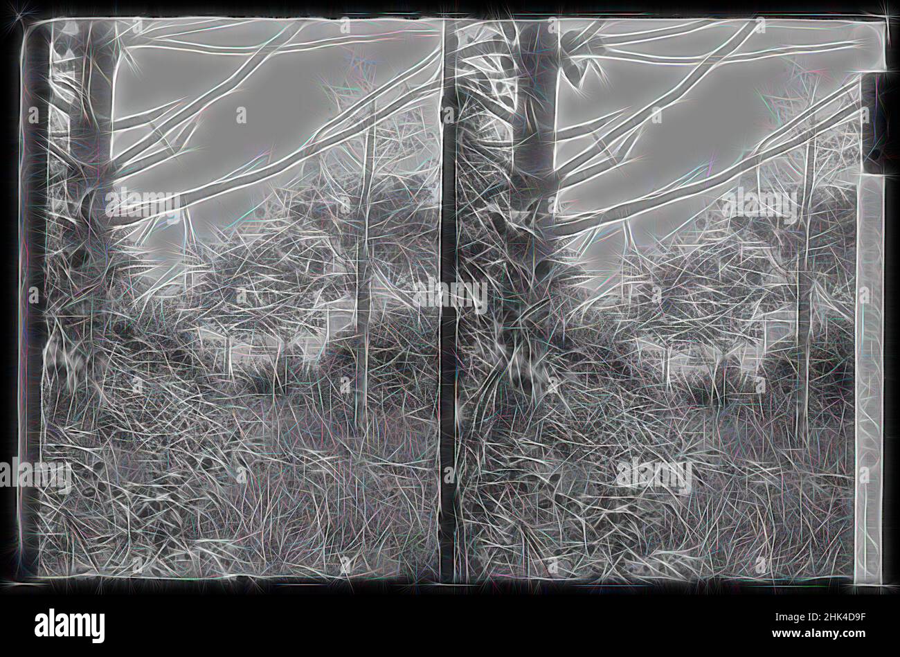 Classic white suburban house hi-res stock photography and images - Alamy