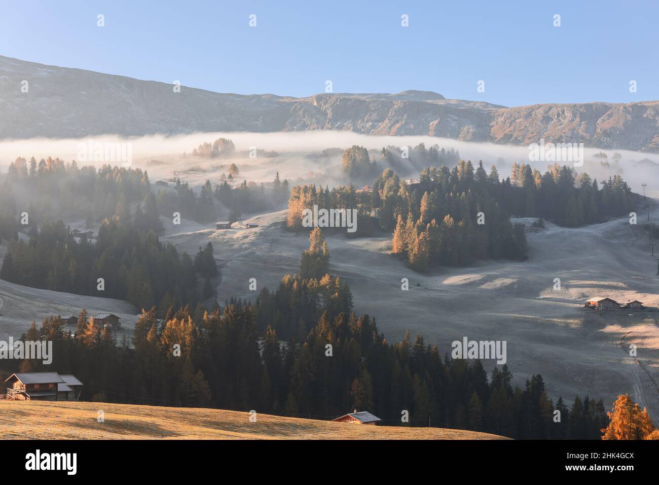 Early autumn morning on a hillside of Seiser Alm plateau covered with ...