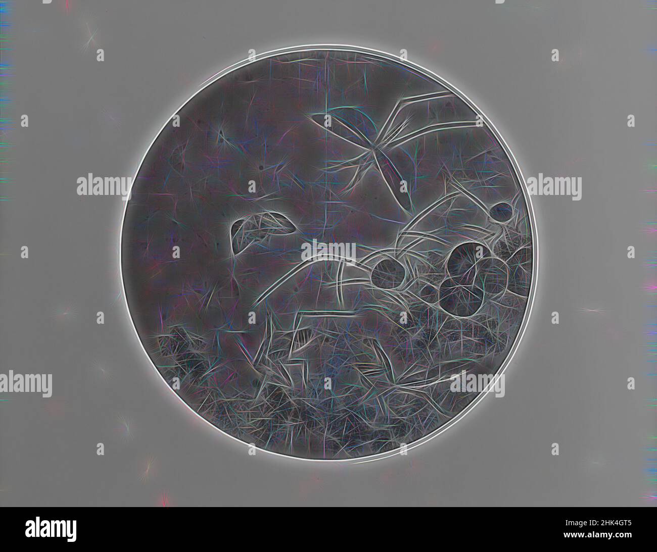 Inspired by Four Insects in a Garden Setting, Ink color on silk, China ...