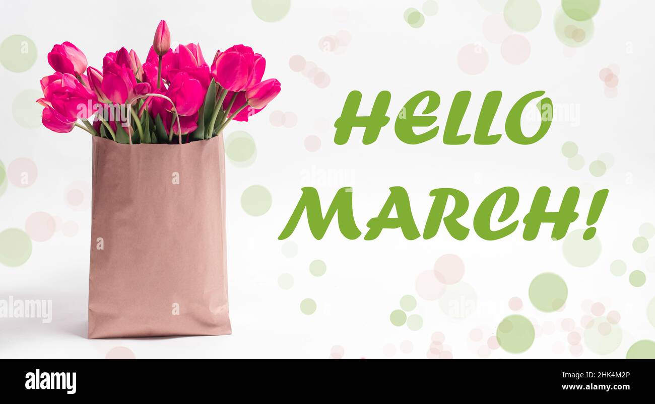 Pink tulips in a craft bag on a white background with text Hello March ...
