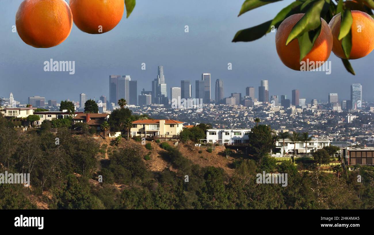 Hillside view of downtown Los Angeles Stock Photo - Alamy