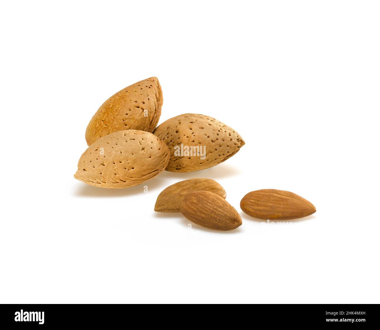 Almond harvest Cut Out Stock Images & Pictures - Alamy