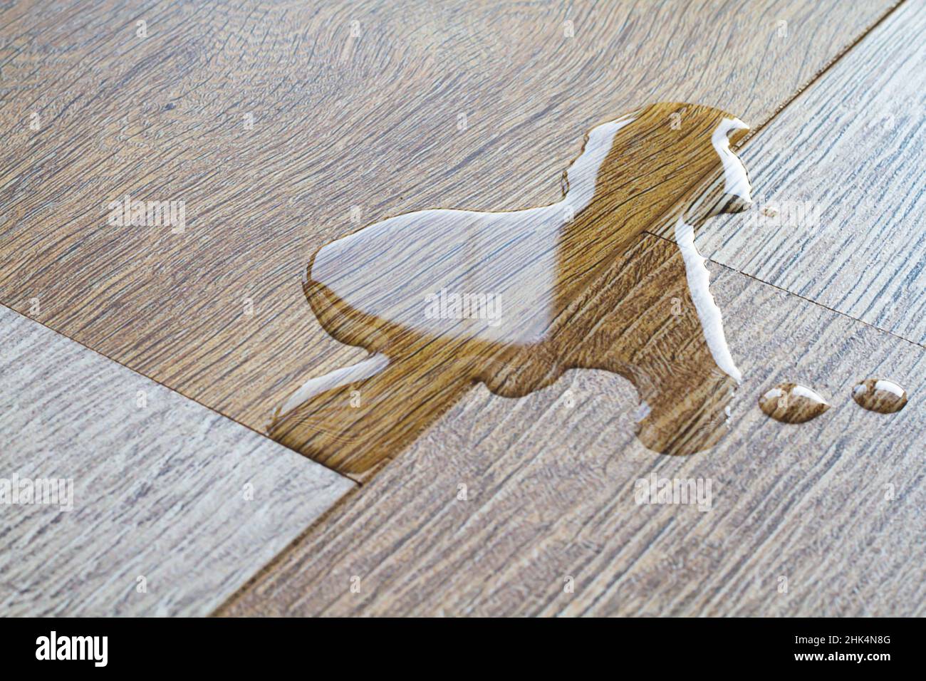 Laminate and water. Waterproof laminate. Wooden floors are impervious ...
