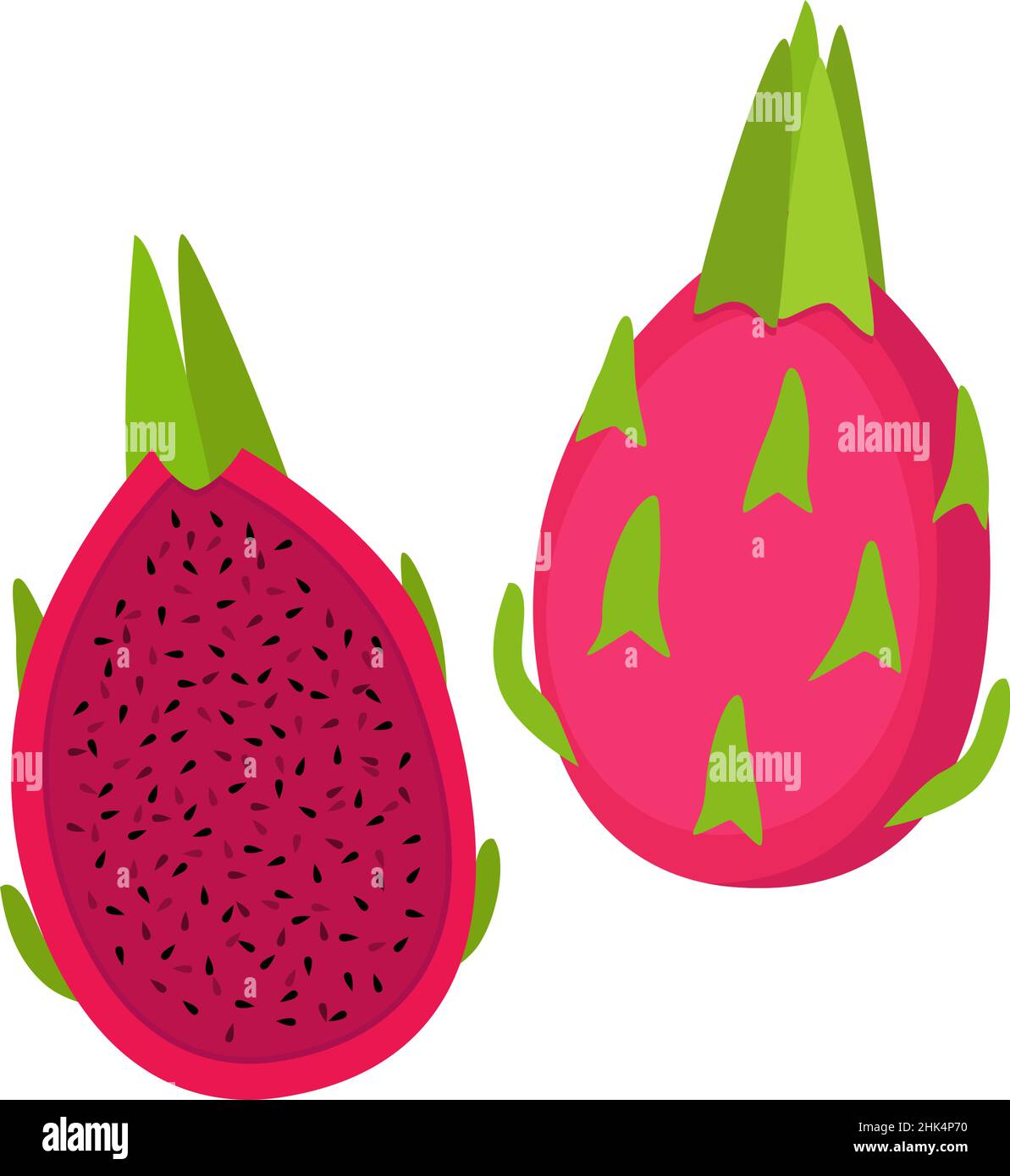 Red dragon fruit, whole fruit and half, vector illustration Stock ...