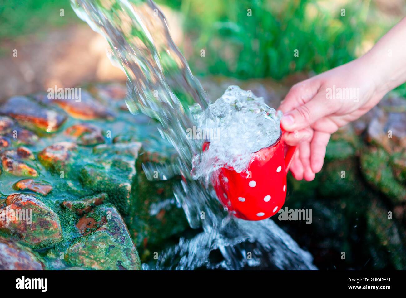 Spring water flows into a cup . Hand holding mug with freshwater Stock ...