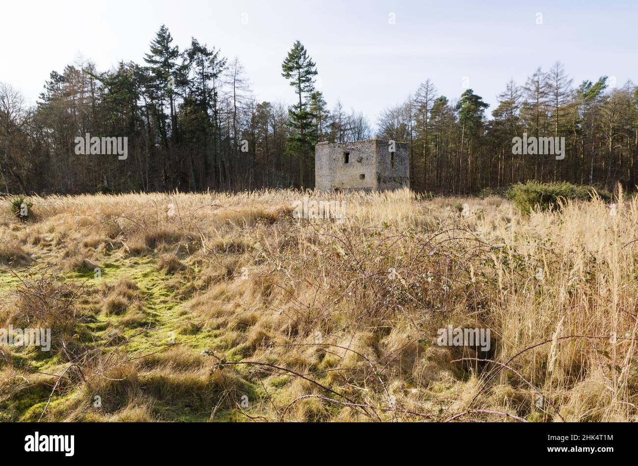 Thetford Warren in The Brecklands, Norfolk, was an isolated semi ...