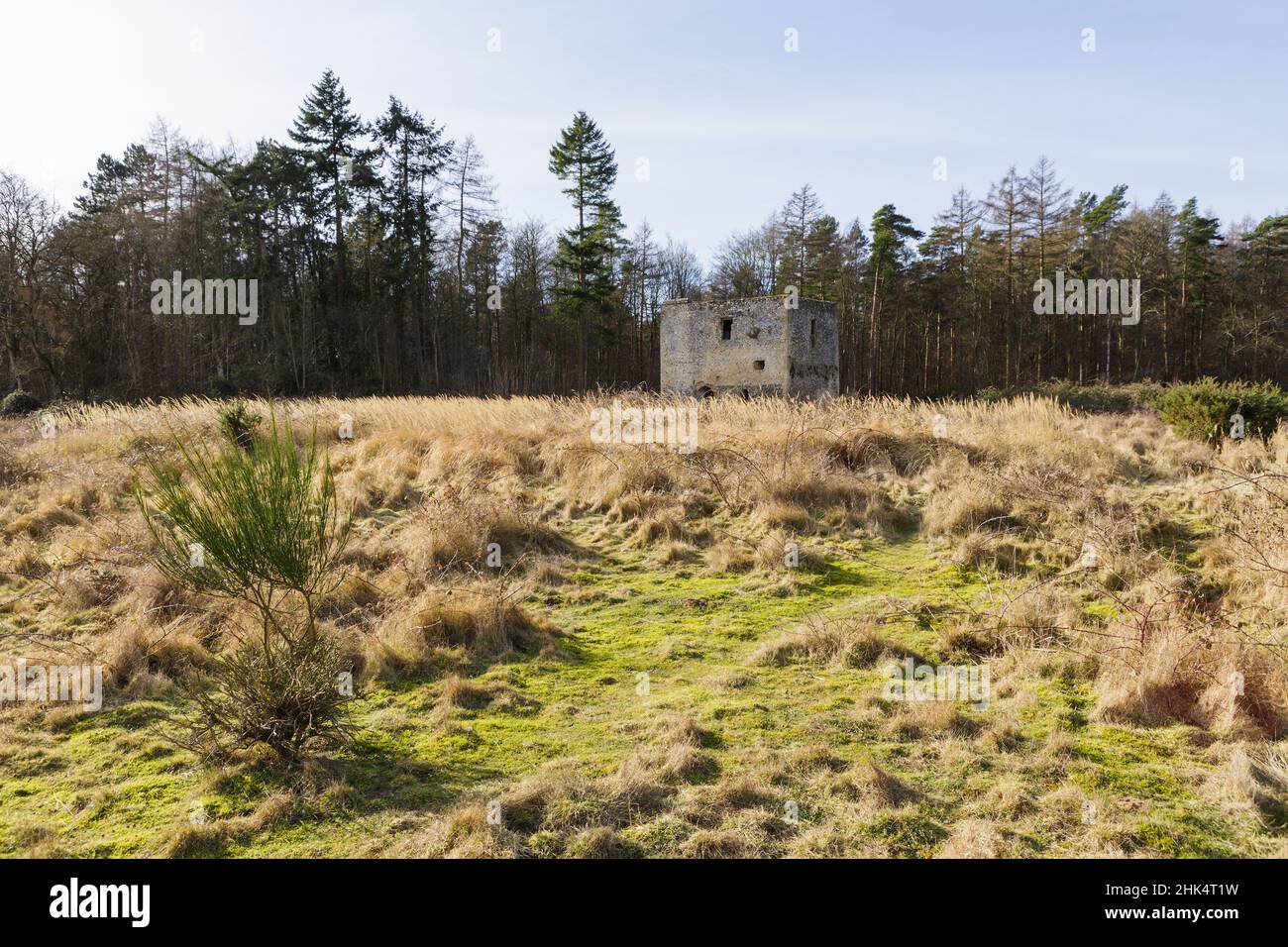 Thetford Warren in The Brecklands, Norfolk, was an isolated semi ...