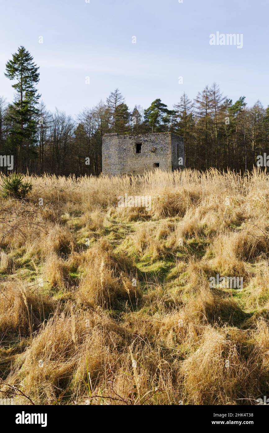 Warrener rabbit hi-res stock photography and images - Alamy