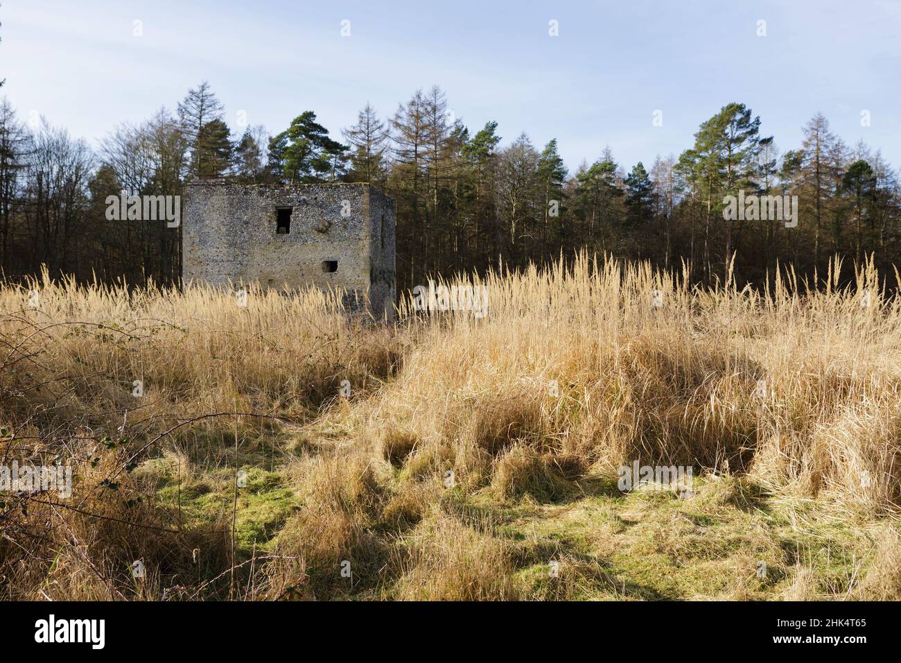 Thetford Warren in The Brecklands, Norfolk, was an isolated semi ...