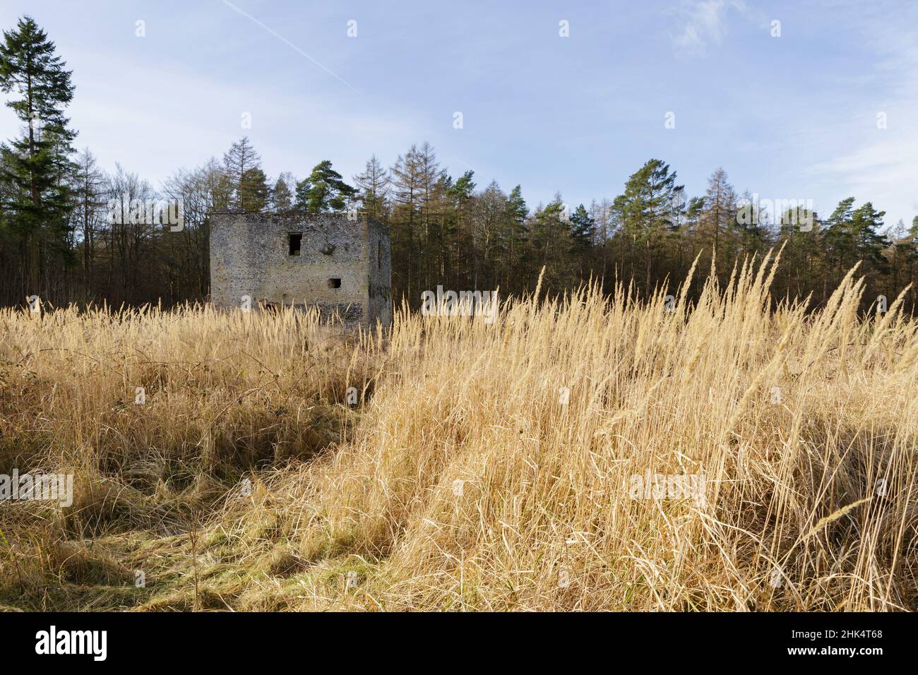 Thetford Warren in The Brecklands, Norfolk, was an isolated semi ...