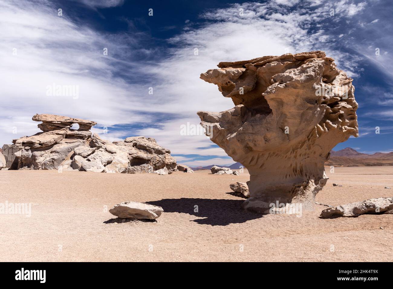 Reserva nacional de fauna andina hi-res stock photography and images ...