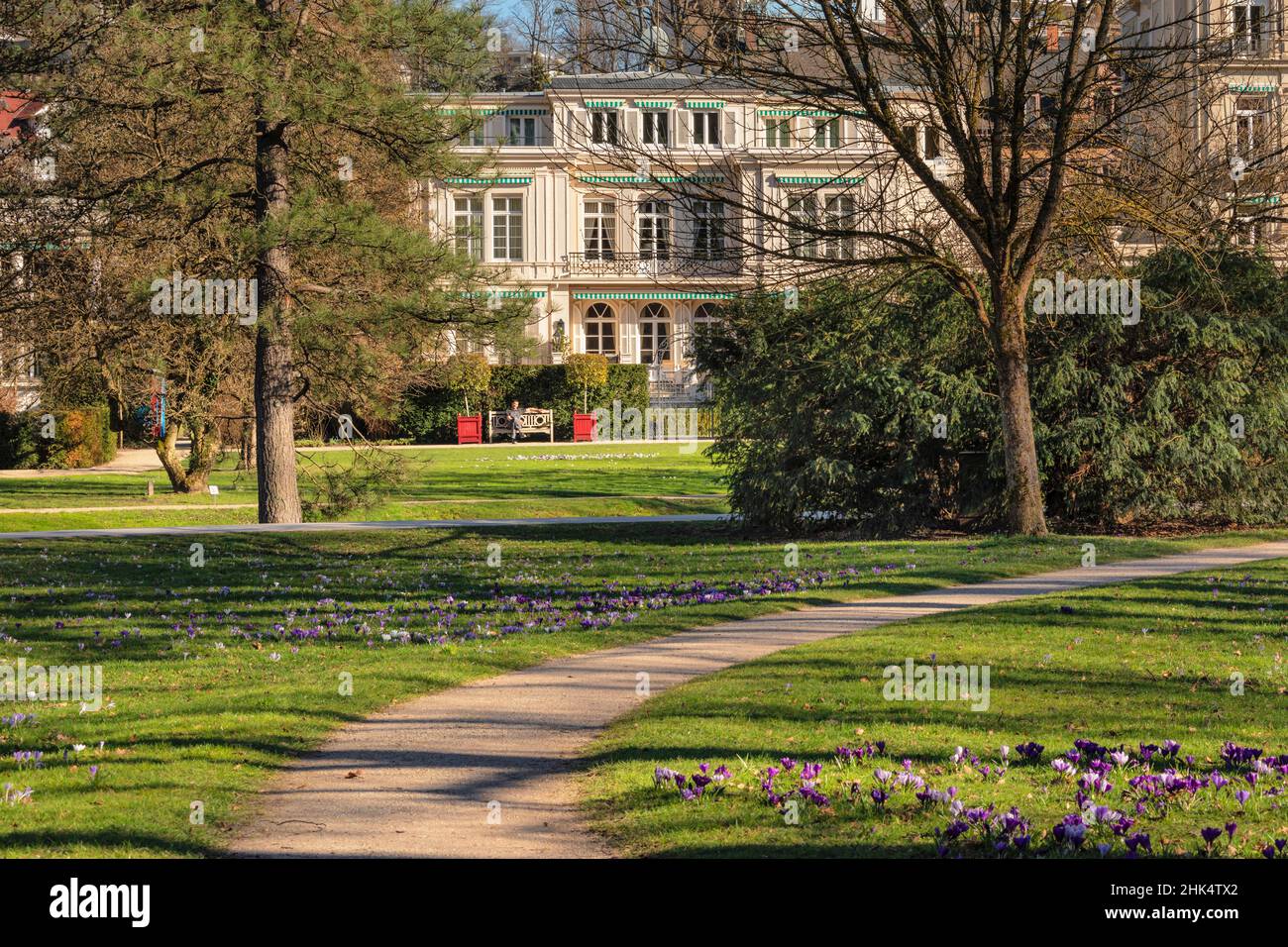 Crocus flowers at Lichtentaler Allee alley, Baden-Baden, Black Forest ...