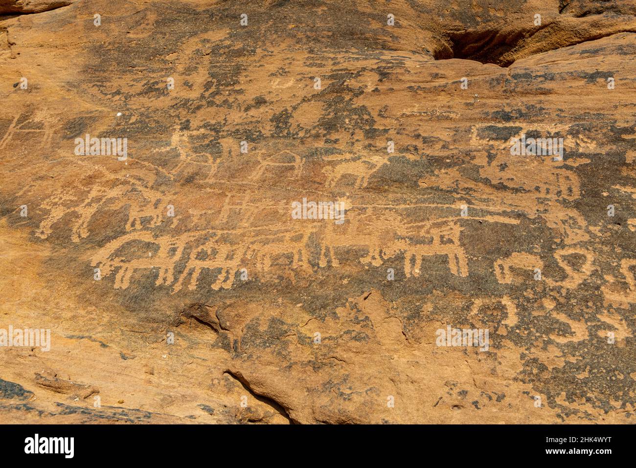 Rock Art in the Ha'il Region, UNESCO World Heritage Site, Jubbah ...