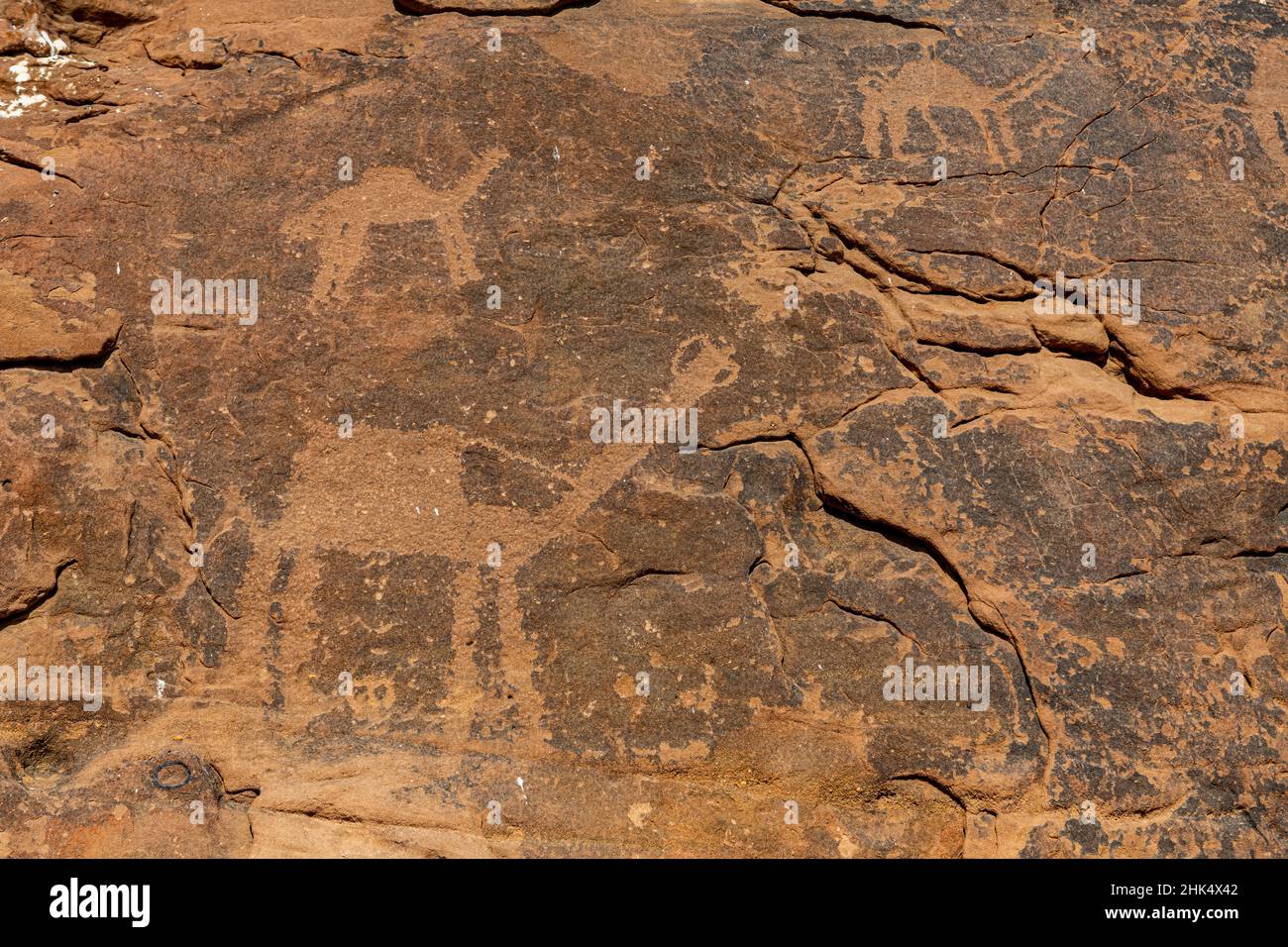 Rock Art in the Ha'il Region, UNESCO World Heritage Site, Jubbah ...