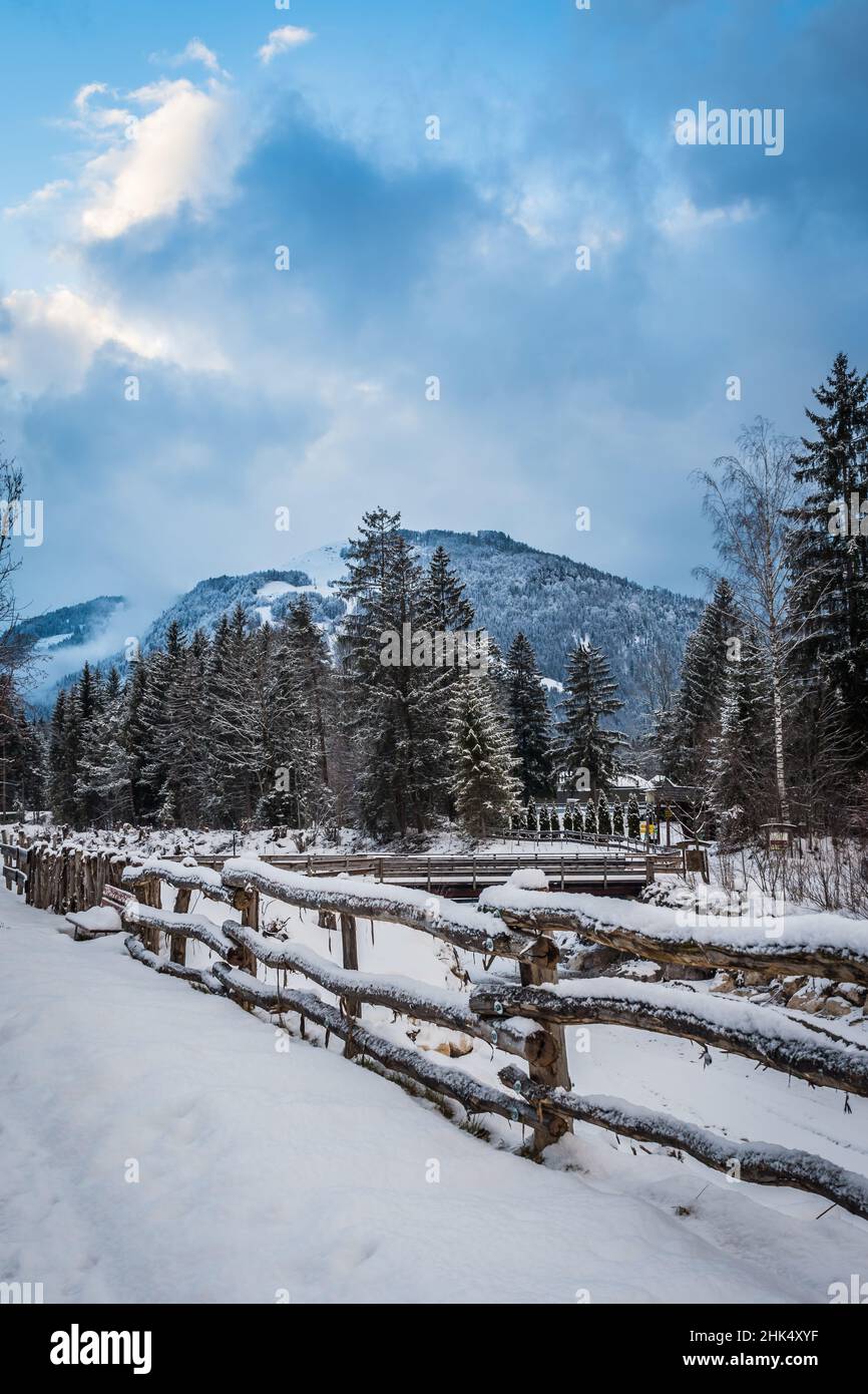 Snowy landscape in the Alps on a sunny winter afternoon, vertical with ...