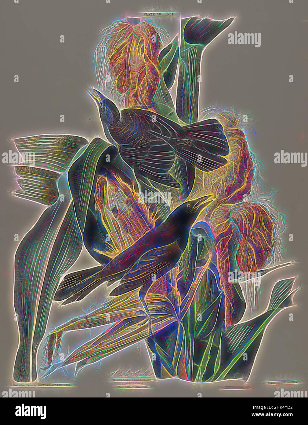 Black ink etching hi-res stock photography and images - Alamy