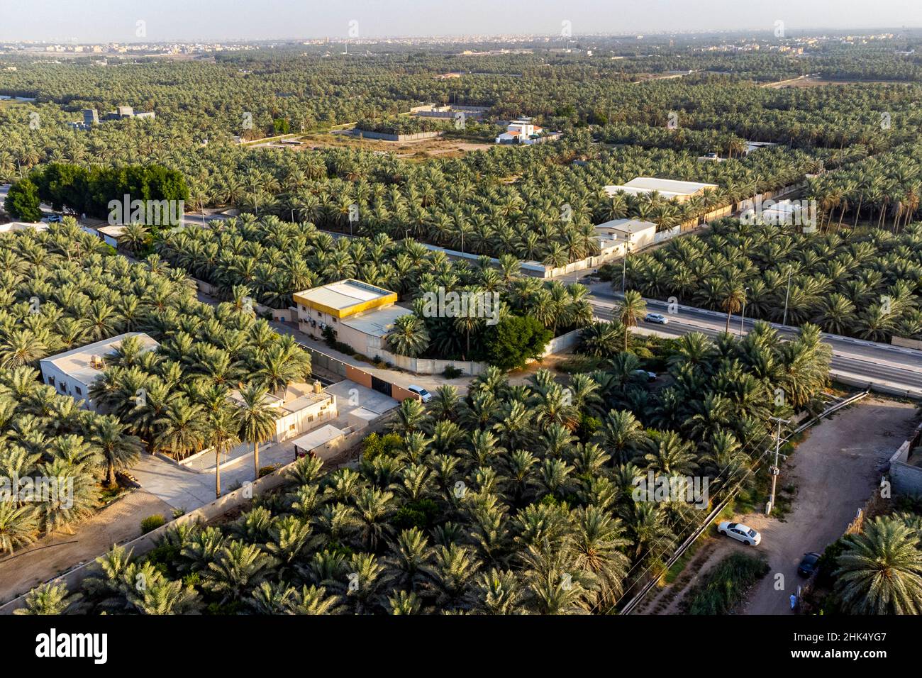 Aerial of the Al Ahsa (Al Hasa) Oasis, largest Oasis in the world ...