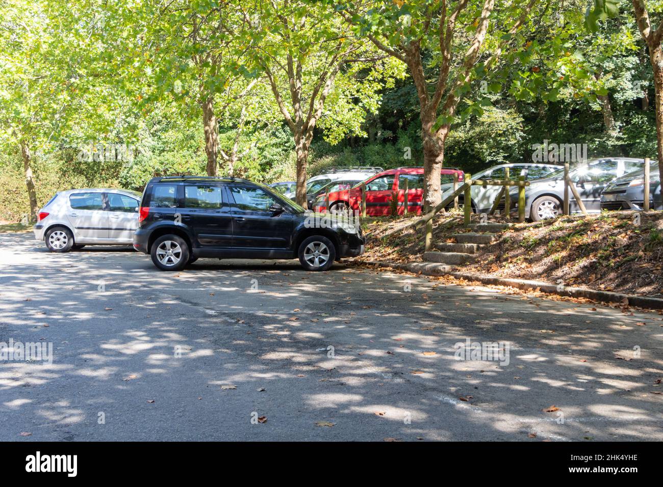 Parked cars under trees hi-res stock photography and images - Alamy