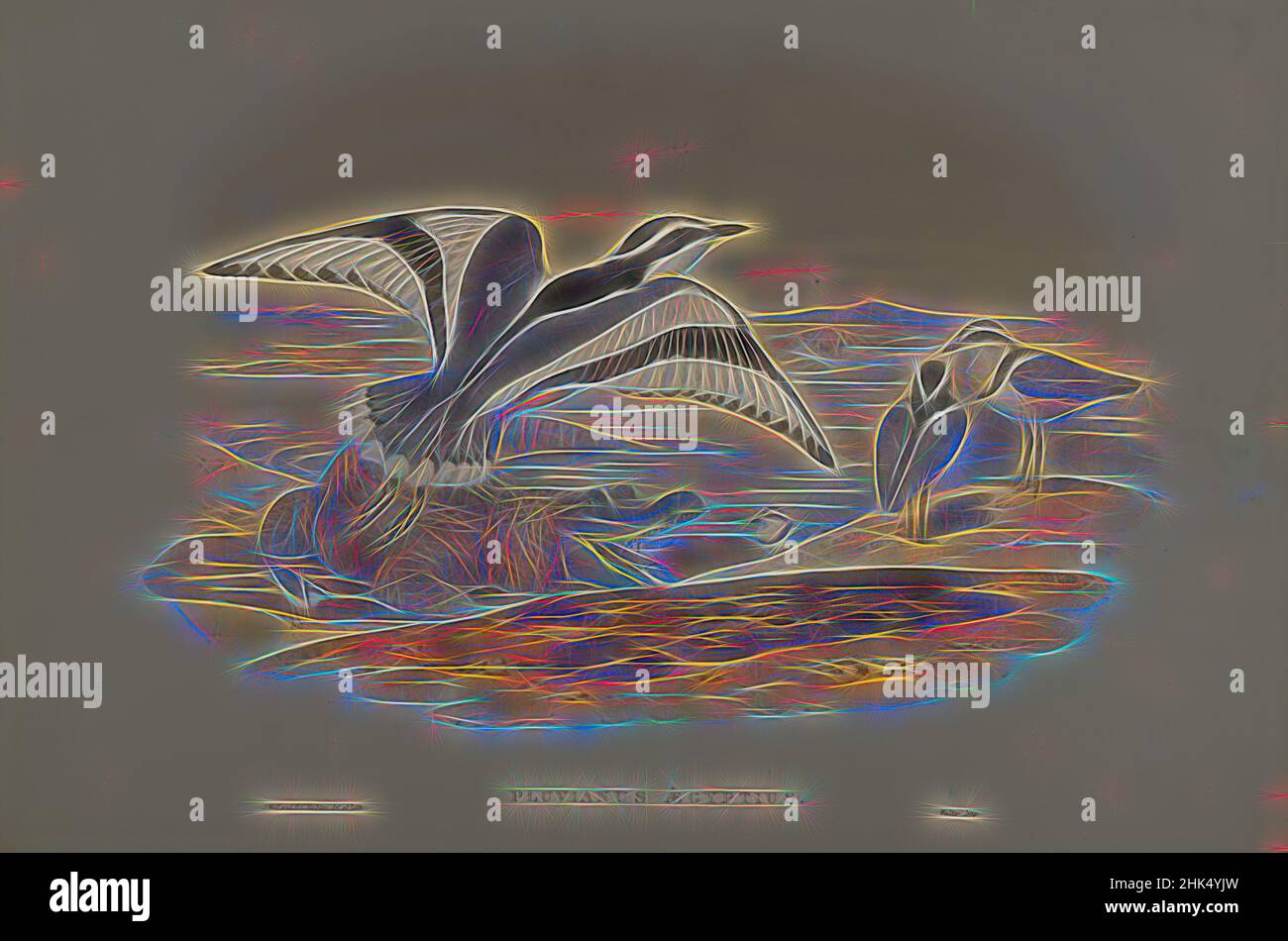 British ray species hi-res stock photography and images - Alamy