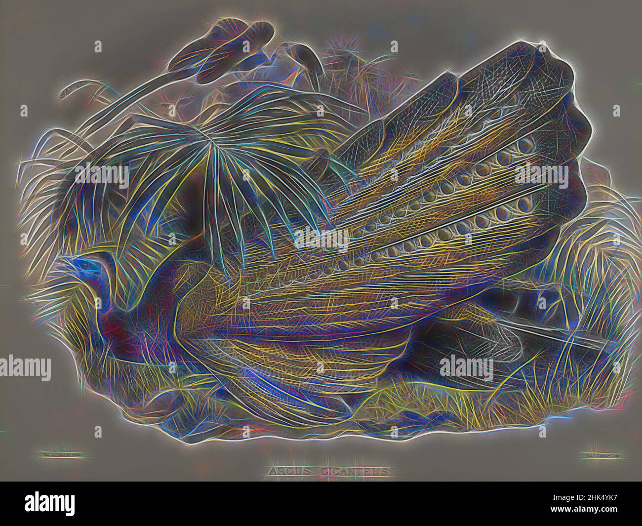 Inspired by Argus Giganteus: Great Argus Pheasant, John Gould, British ...