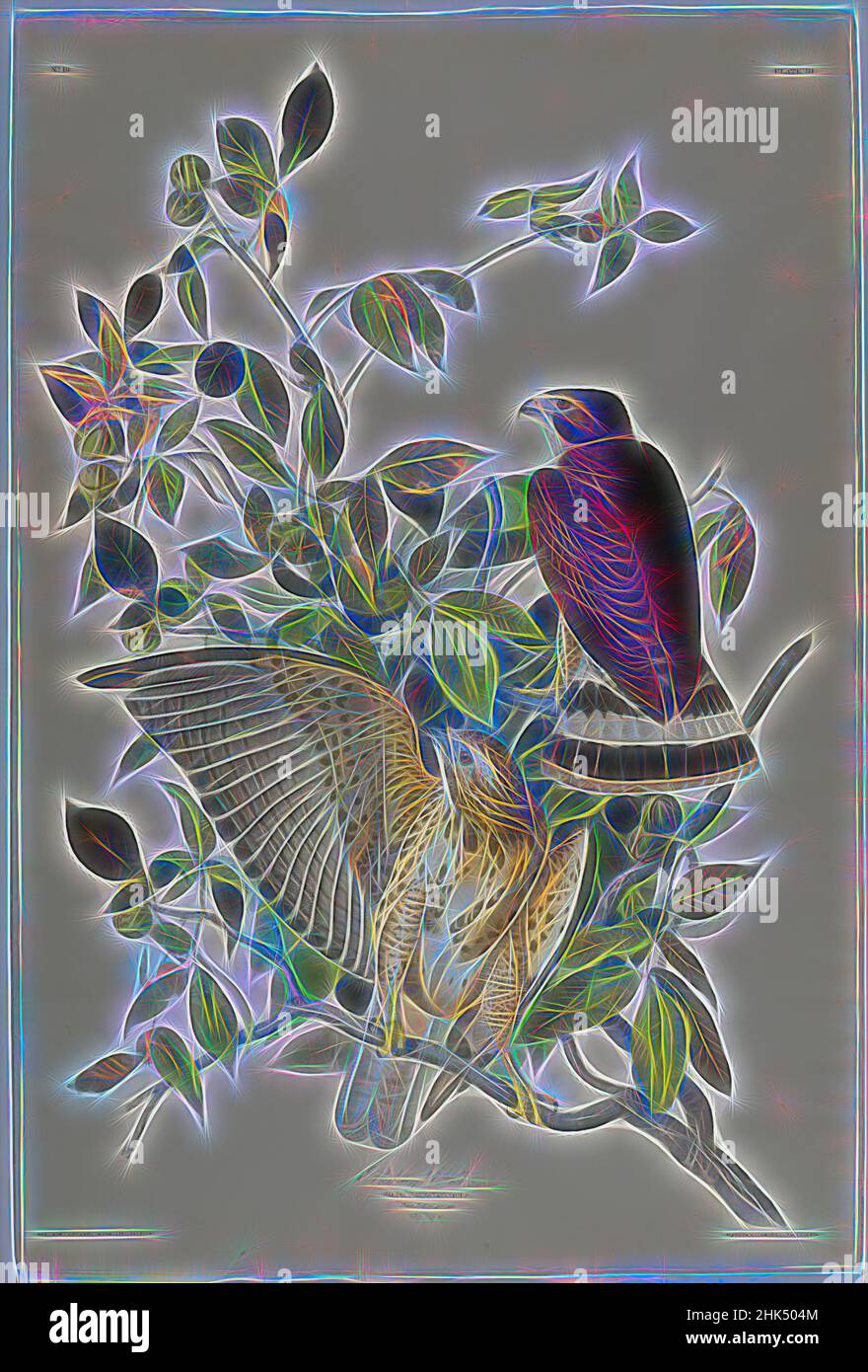 Inspired by Broad Winged Hawk, Aquatint, 1830, approx.: 27 x 40 in., 68 ...