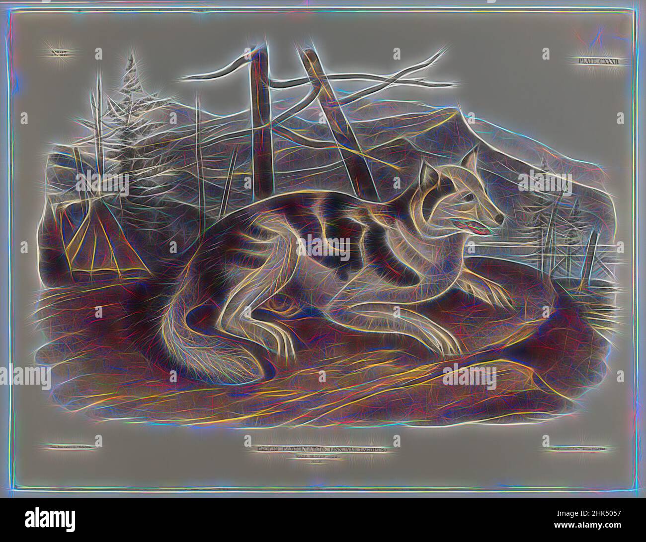 American Indian Art Wolf