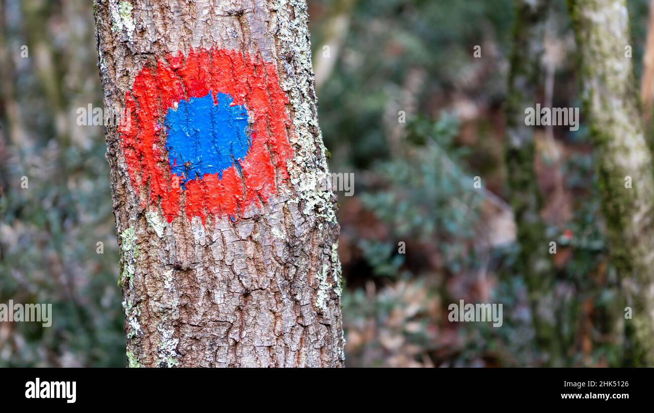 Hiking markings on a tree Stock Photo - Alamy