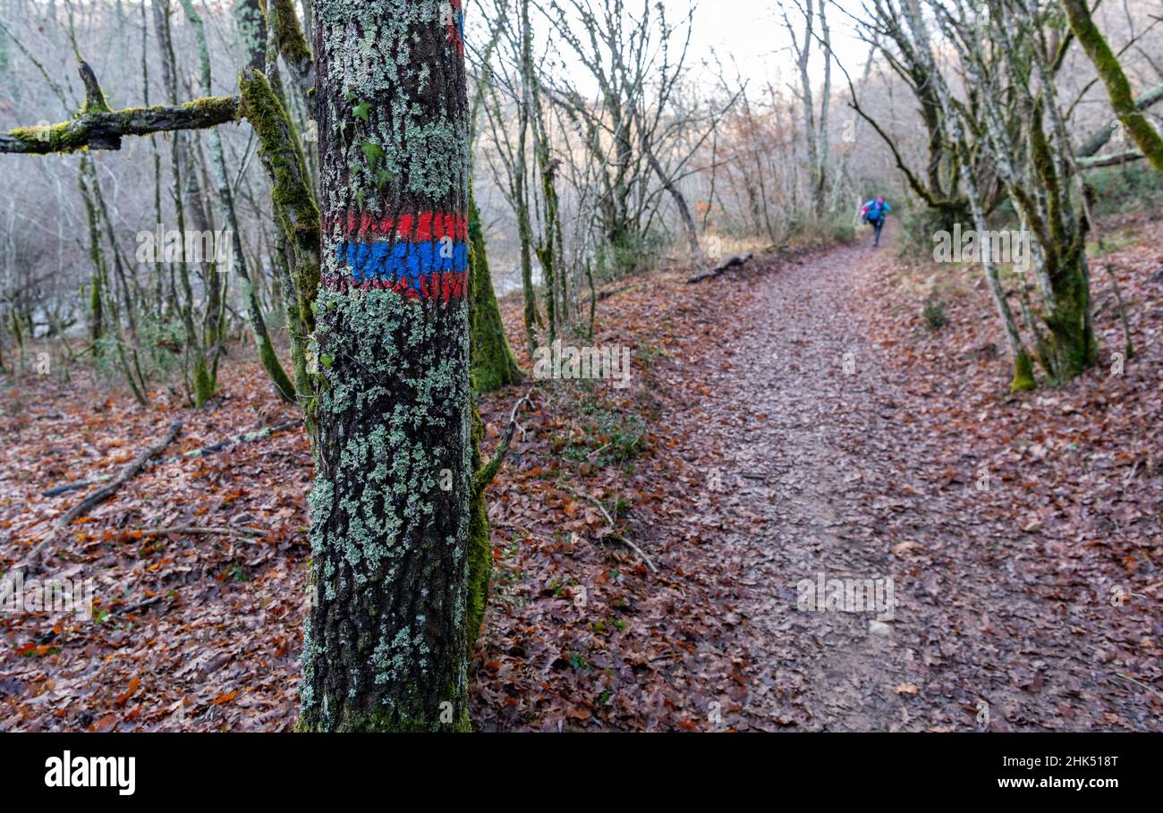 Hiking markings on a tree Stock Photo - Alamy